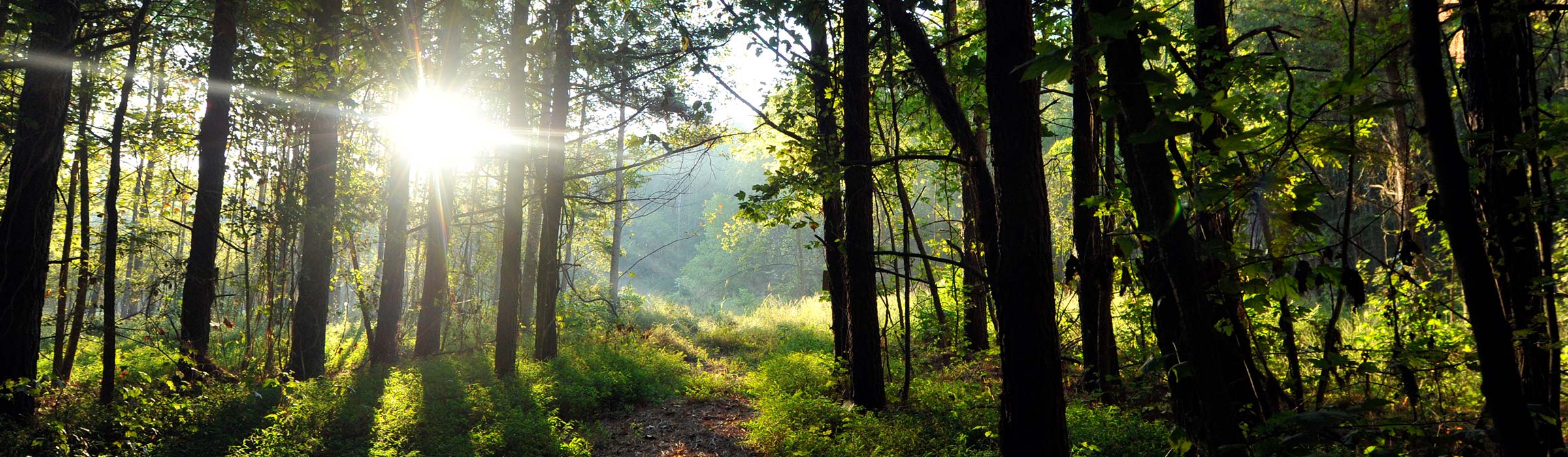 Trails: A source of jobs and respite for North Carolinians | The ...