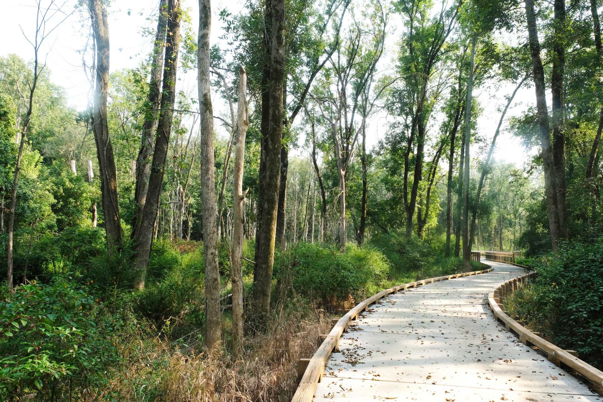 The Carolina Thread Trail | Regional Network of Trails