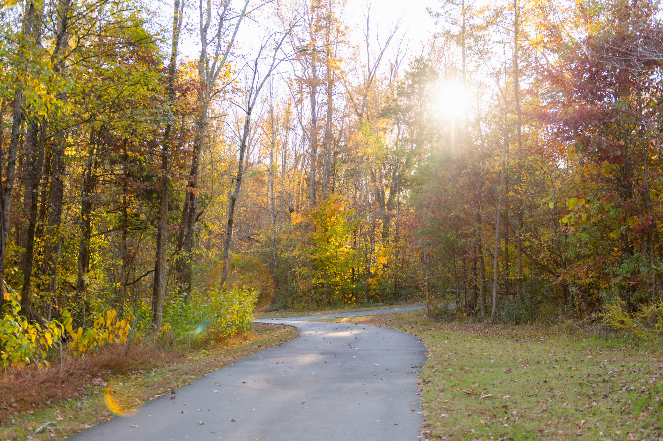 The Carolina Thread Trail | Regional Network of Trails
