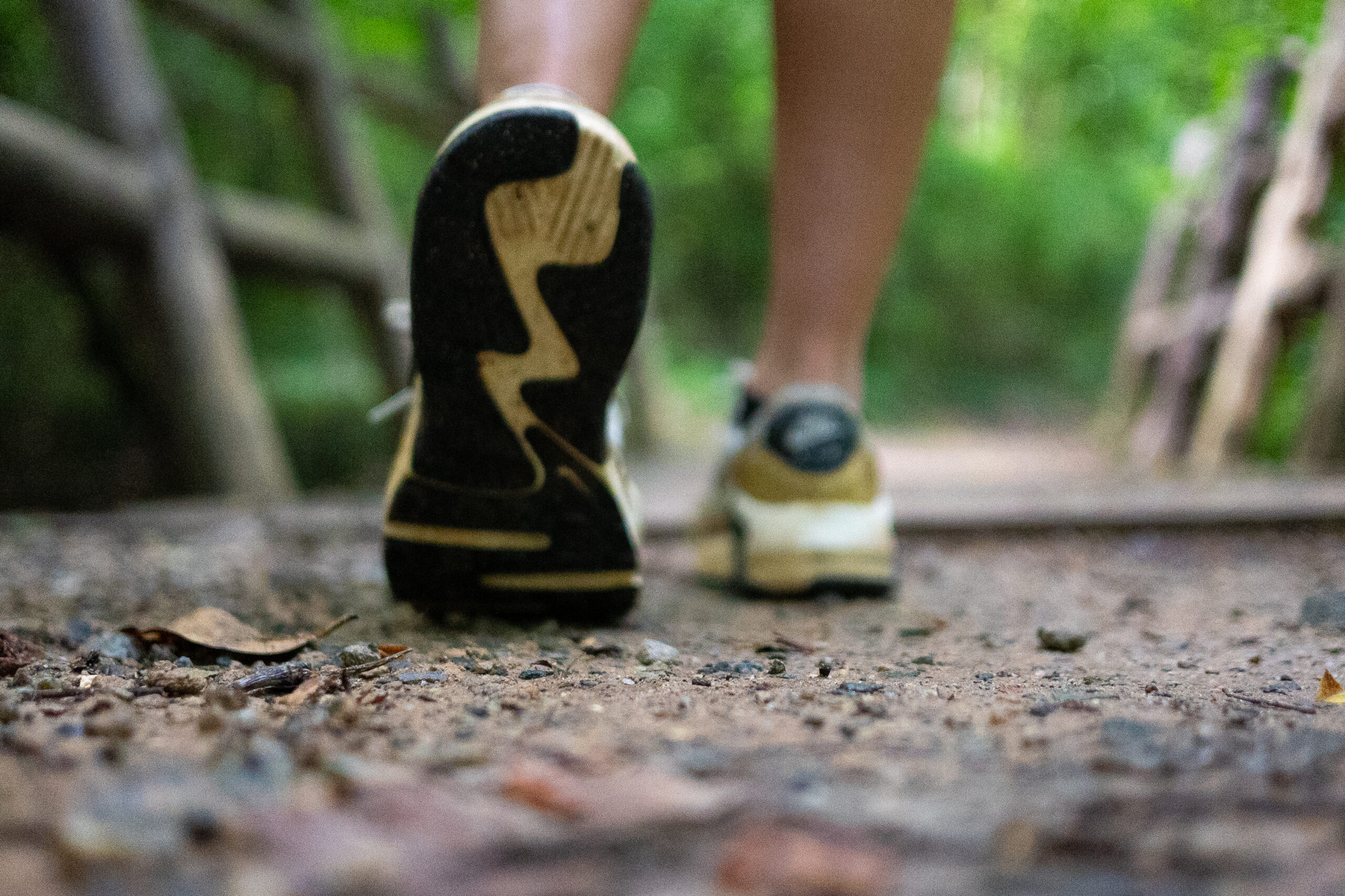 The Carolina Thread Trail | Regional Network of Trails